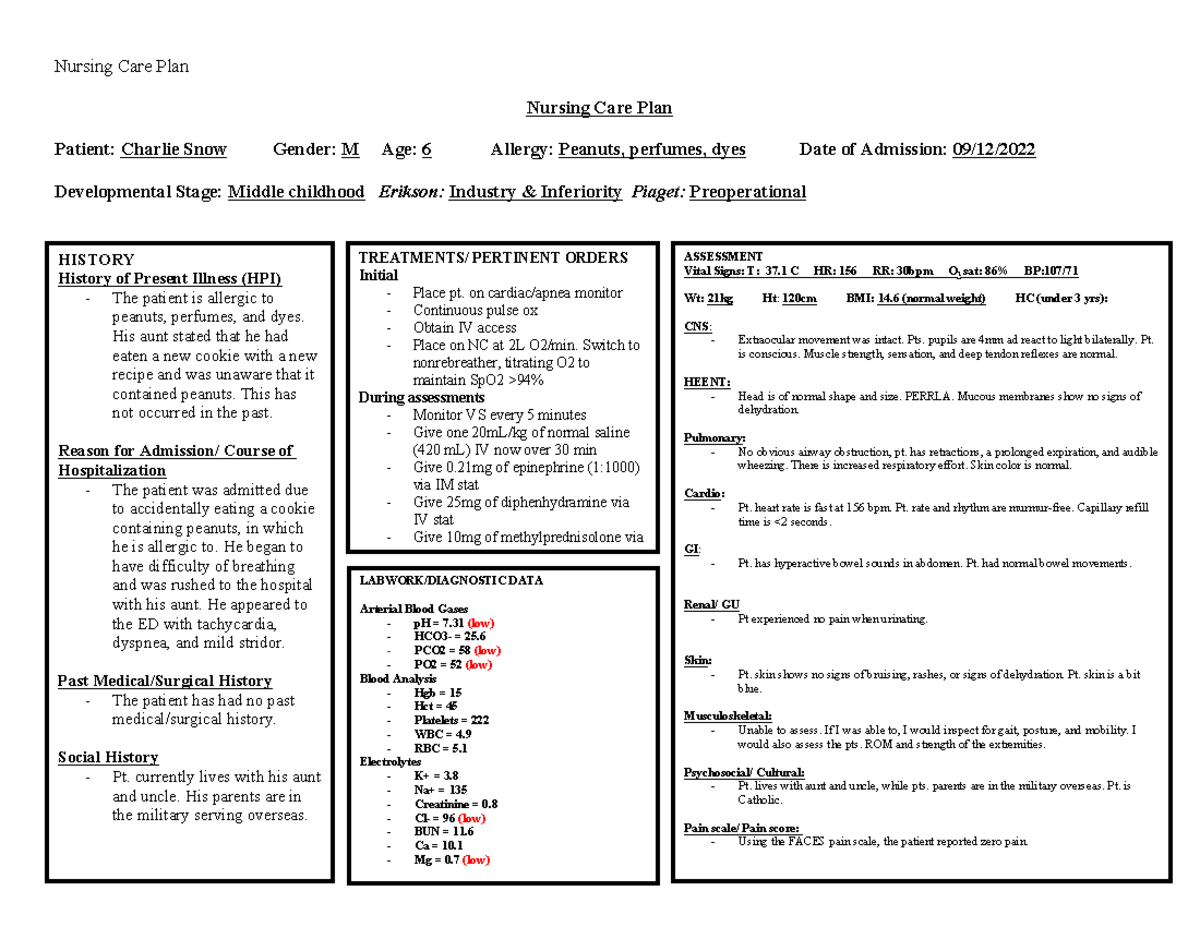Charlie Snow CP 1 - Nursing Care Plan Nursing Care Plan Patient ...