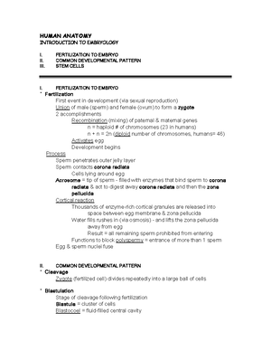 Comprehensive Overview of the Nervous System: Structure & Function - Comprehensive Overview of ...