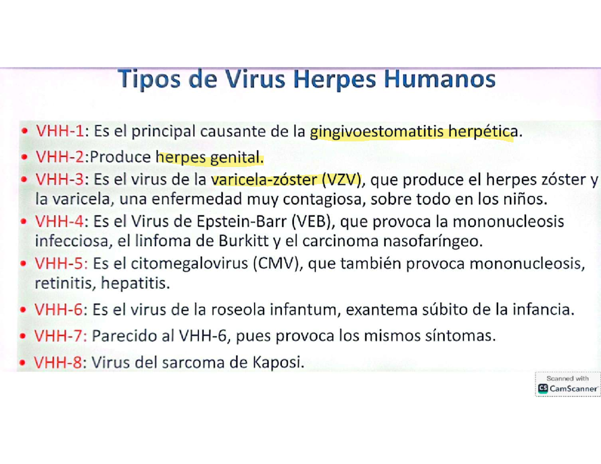 Conferencia 20: Tipos y Epidemiología del Virus Herpes (VHS) - Studocu
