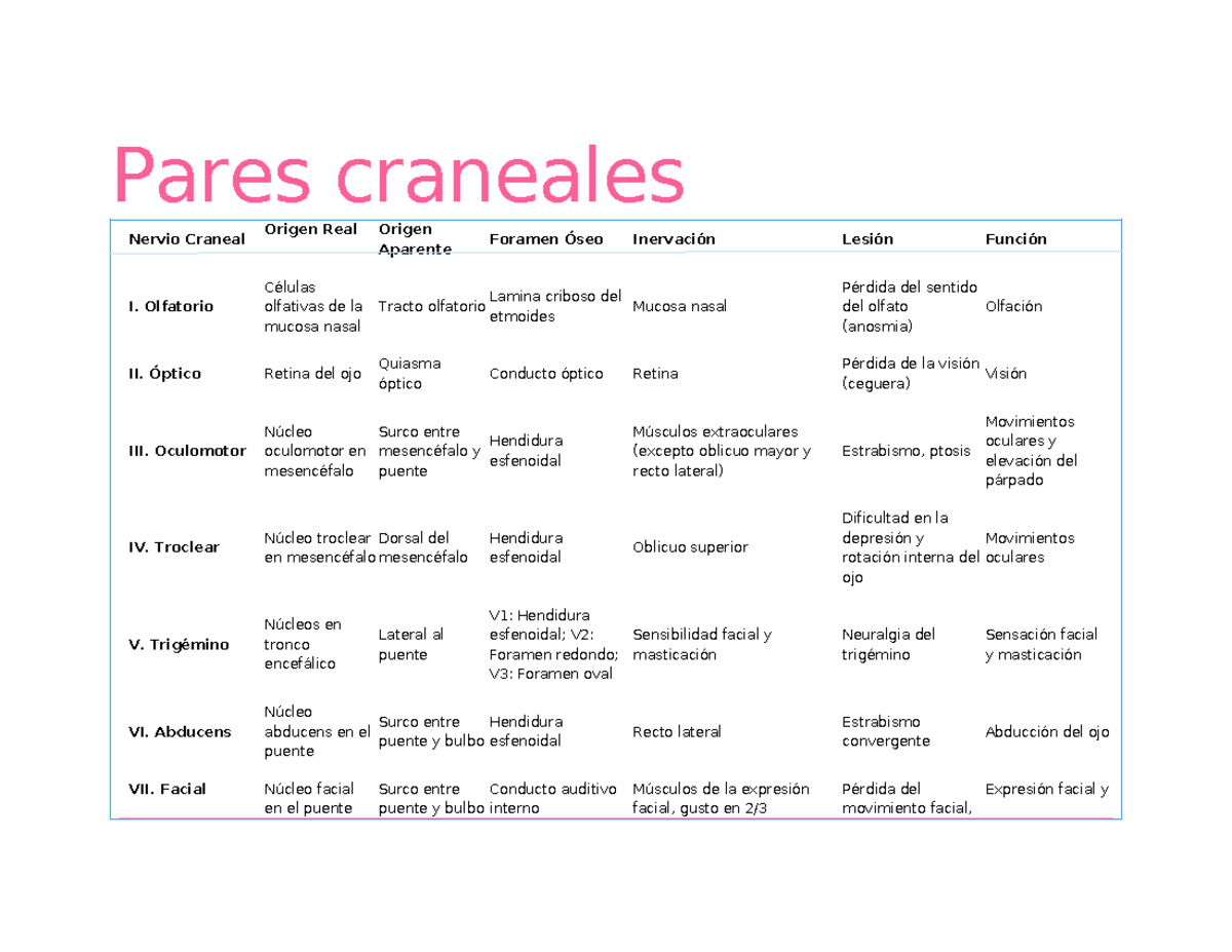 Cuadro de pares craneales: origen, función e inervación - Studocu