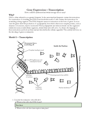 Rock Pocket Mouse (bee) evolution activity-3 - Name: Kailey Hernandez ...