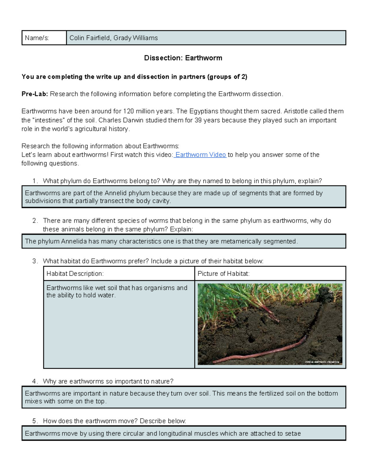 Dissection Guide: Earthworm Anatomy & Functions (Bio 101) - Studocu