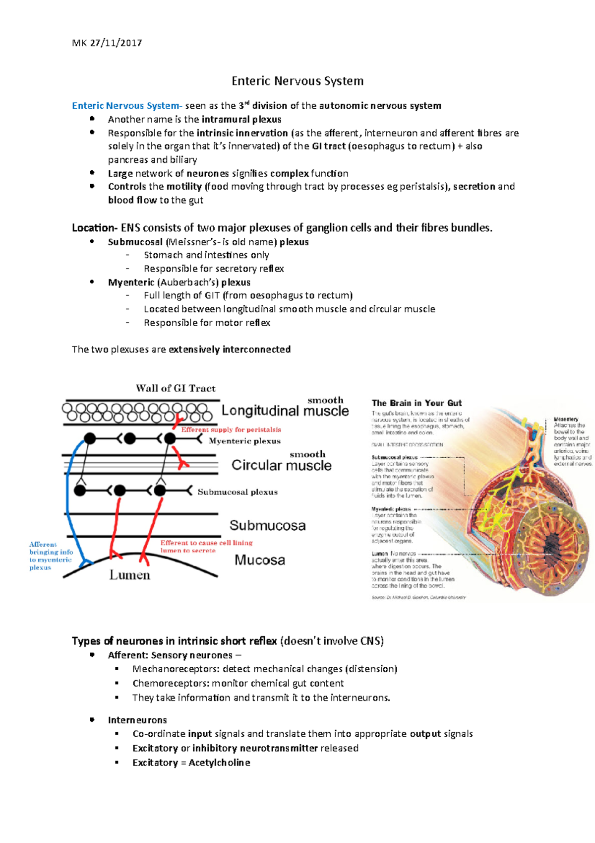 Enteric Nervous System - Enteric Nervous System Enteric Nervous System ...