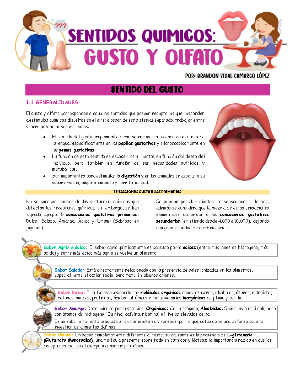Estudio de los Sentidos Químicos: Gusto y Olfato - Unidad III - Studocu