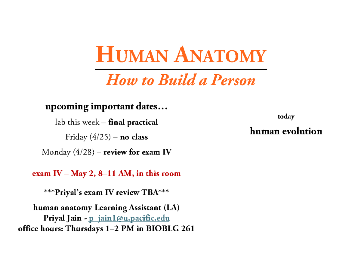 Human Anatomy (BIO 101) Final Exam Review: Evolution & Reproductive ...