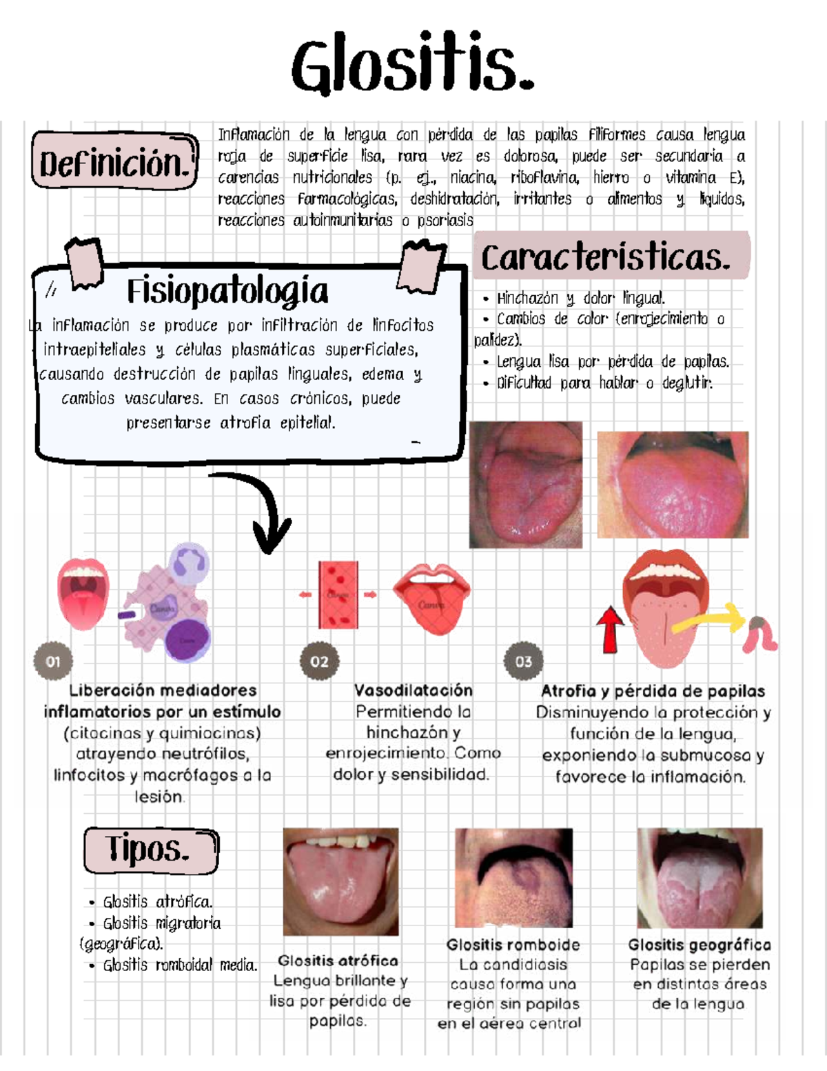Glositis y Enfermedades Gastrointestinales: Definiciones y ...