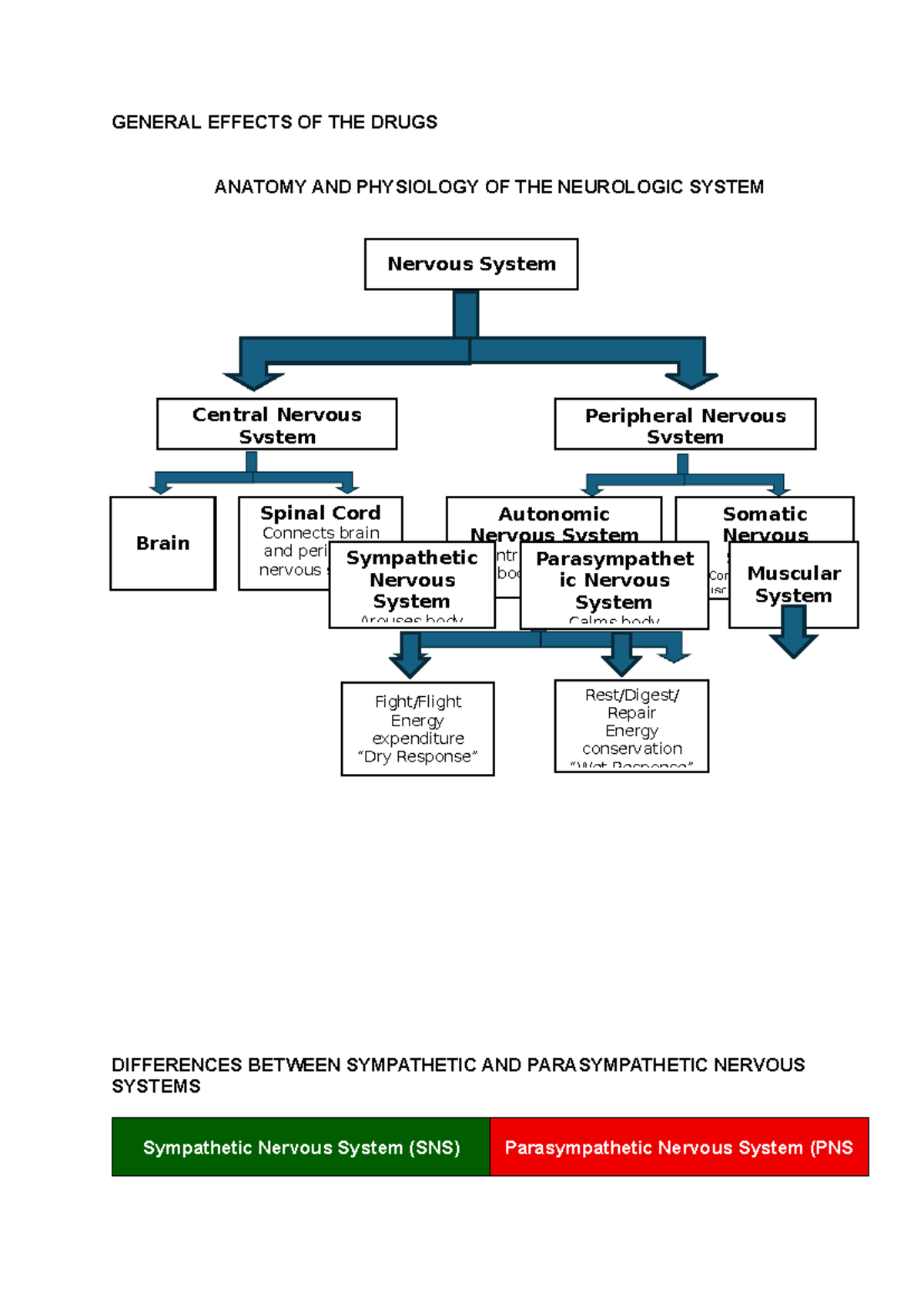 Effects of Drugs on the Nervous System: Anatomy & Physiology - Studocu