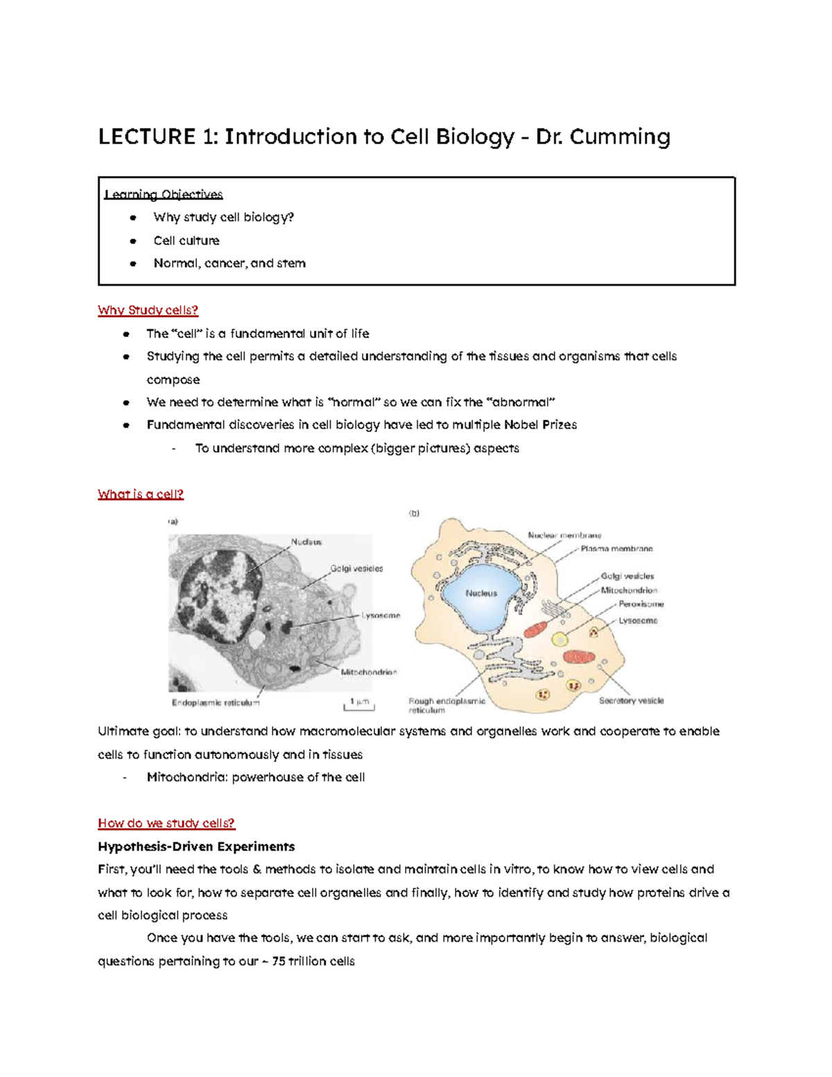 Cell Bio 2382B Lecture 1: Introduction & Overview of Cell Biology ...