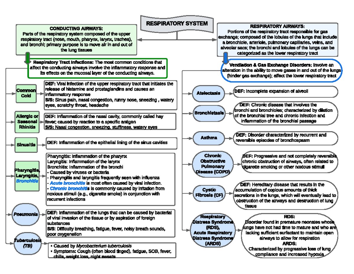 Respiratory Disorders Overview: Conditions & Definitions (BIO 101 ...