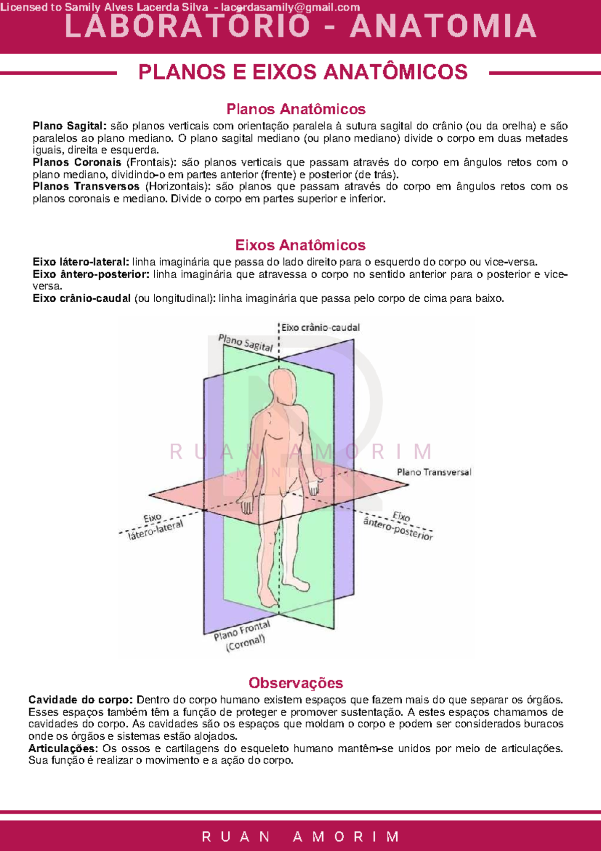 LAB 01 - Anatomia: Planos e Eixos Anatômicos - Studocu
