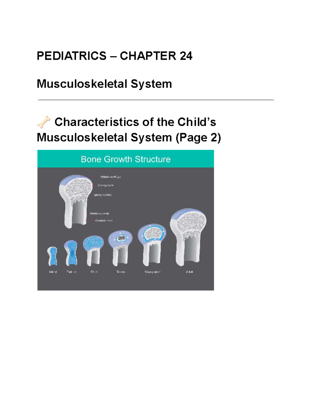 PEDIATRICS CH 24: Musculoskeletal System Overview & Key Concepts - Studocu