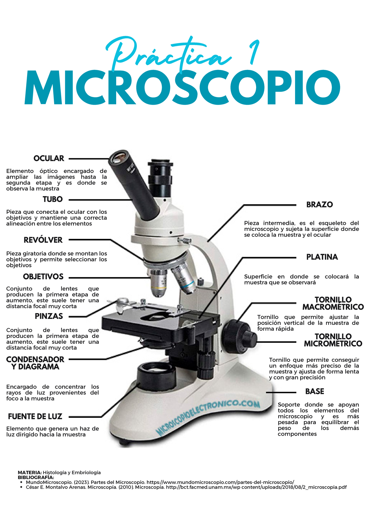 Práctica 1: Partes y Funciones del Microscopio en Histología y ...