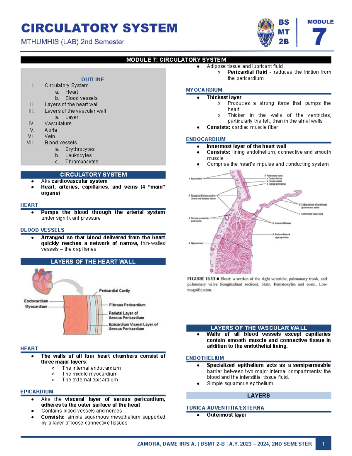 HISTO BSMT 2-B LAB MODULE 7: CIRCULATORY SYSTEM OVERVIEW - Studocu