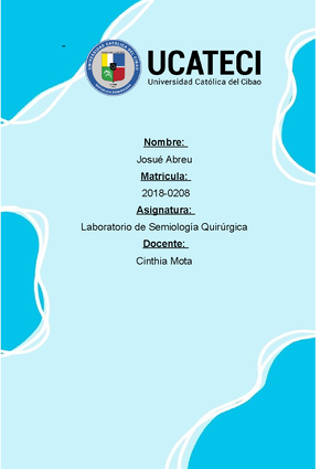 Anatomía y Fisiología de la Vulva Resumen bien explicado y detallado ...