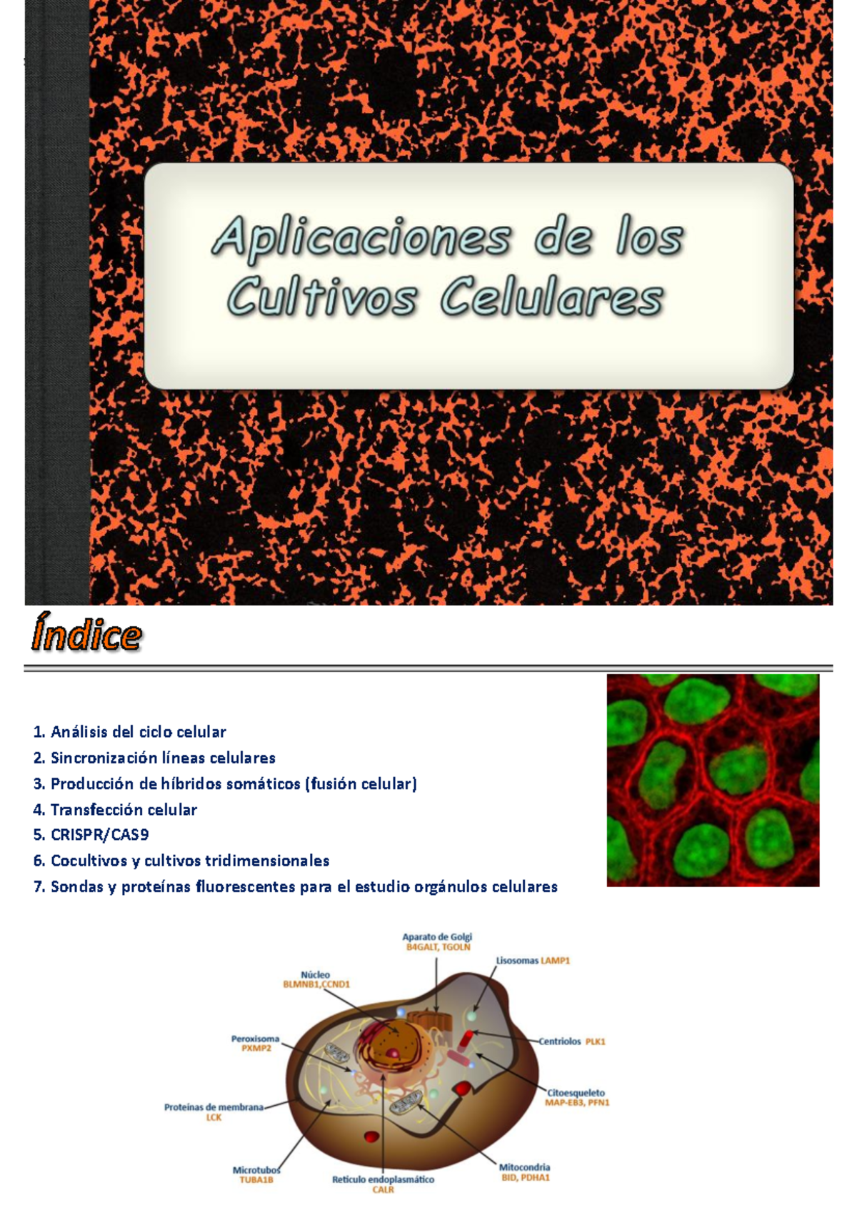 Tema 4: Aplicaciones de los Cultivos Celulares - Análisis y Técnicas ...