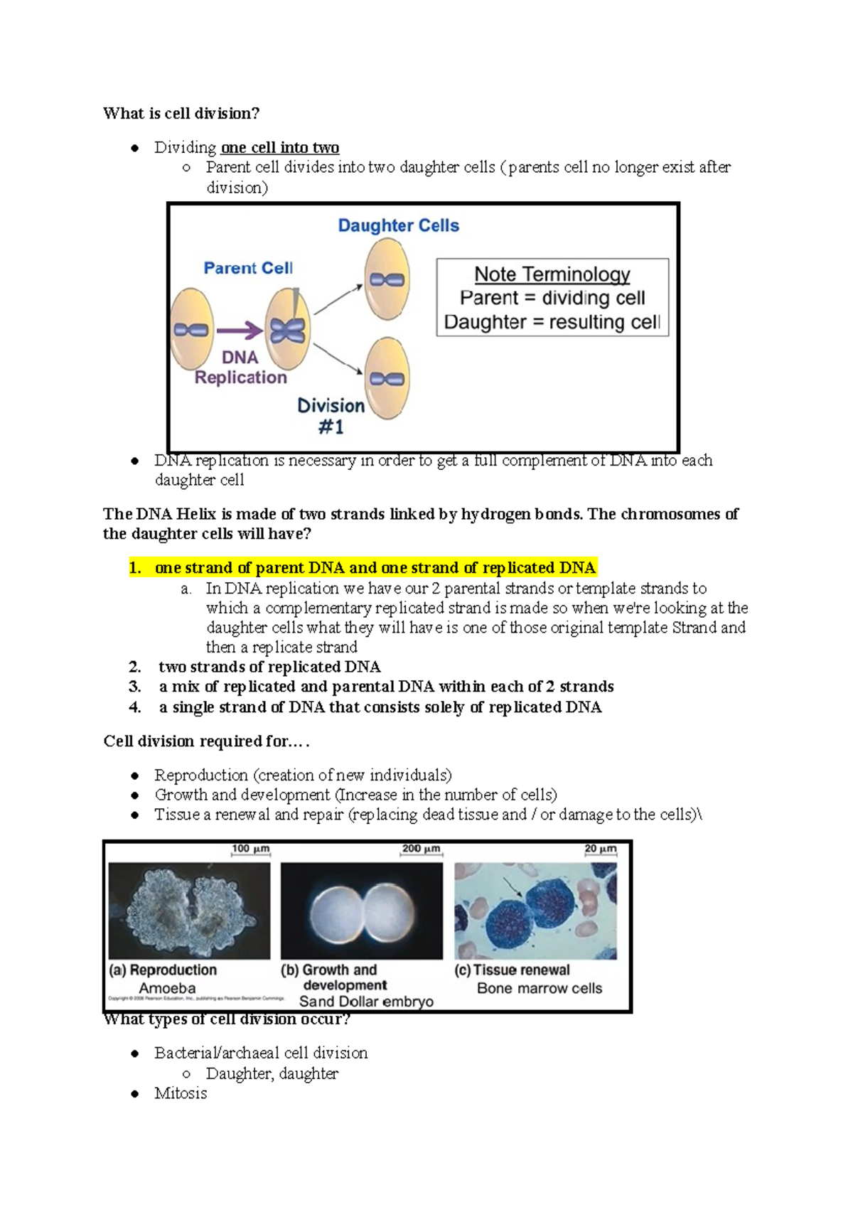 Post Test 3 content - Extensive notes on DNA replication, genetics ...