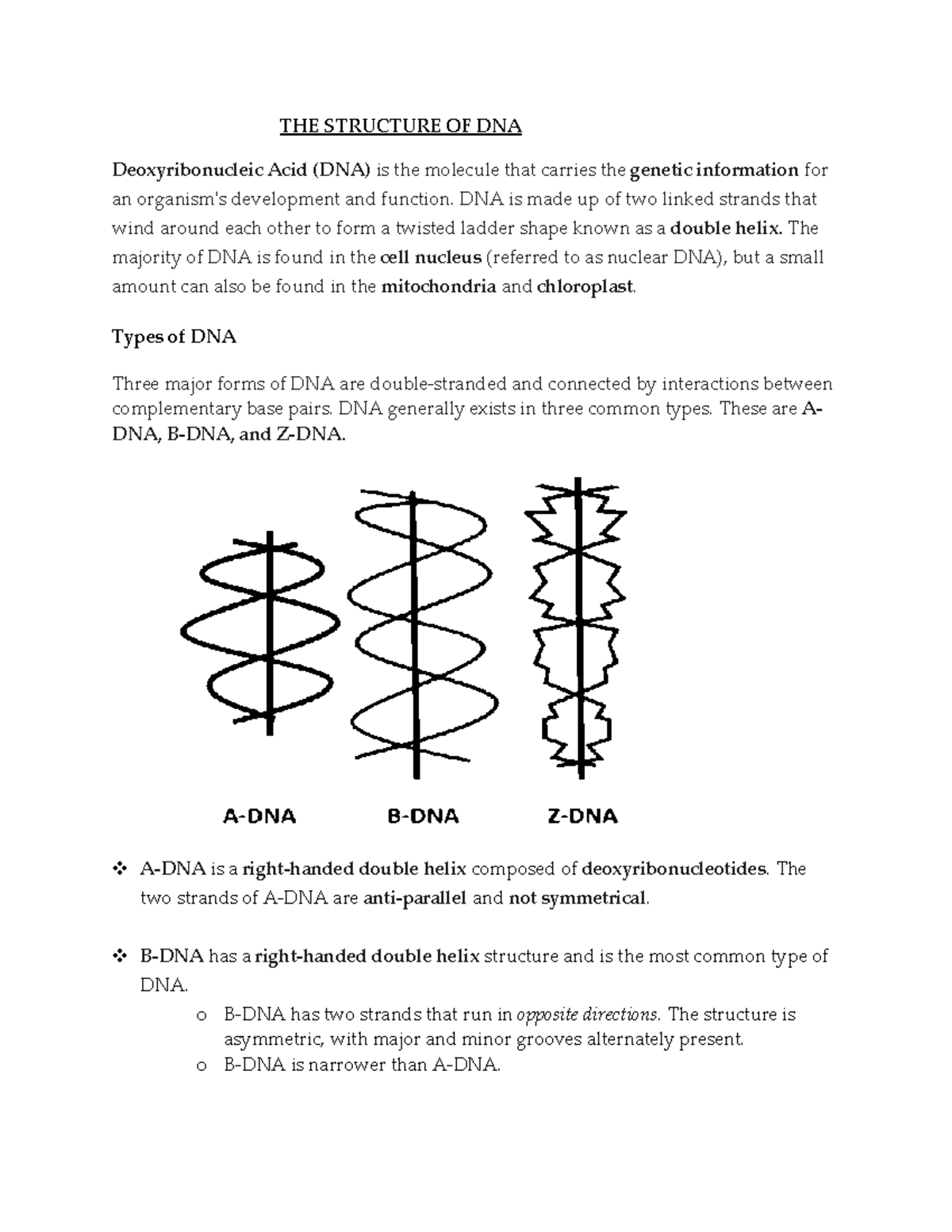 Types of DNA: A Summary of DNA Structure and Forms - Studocu