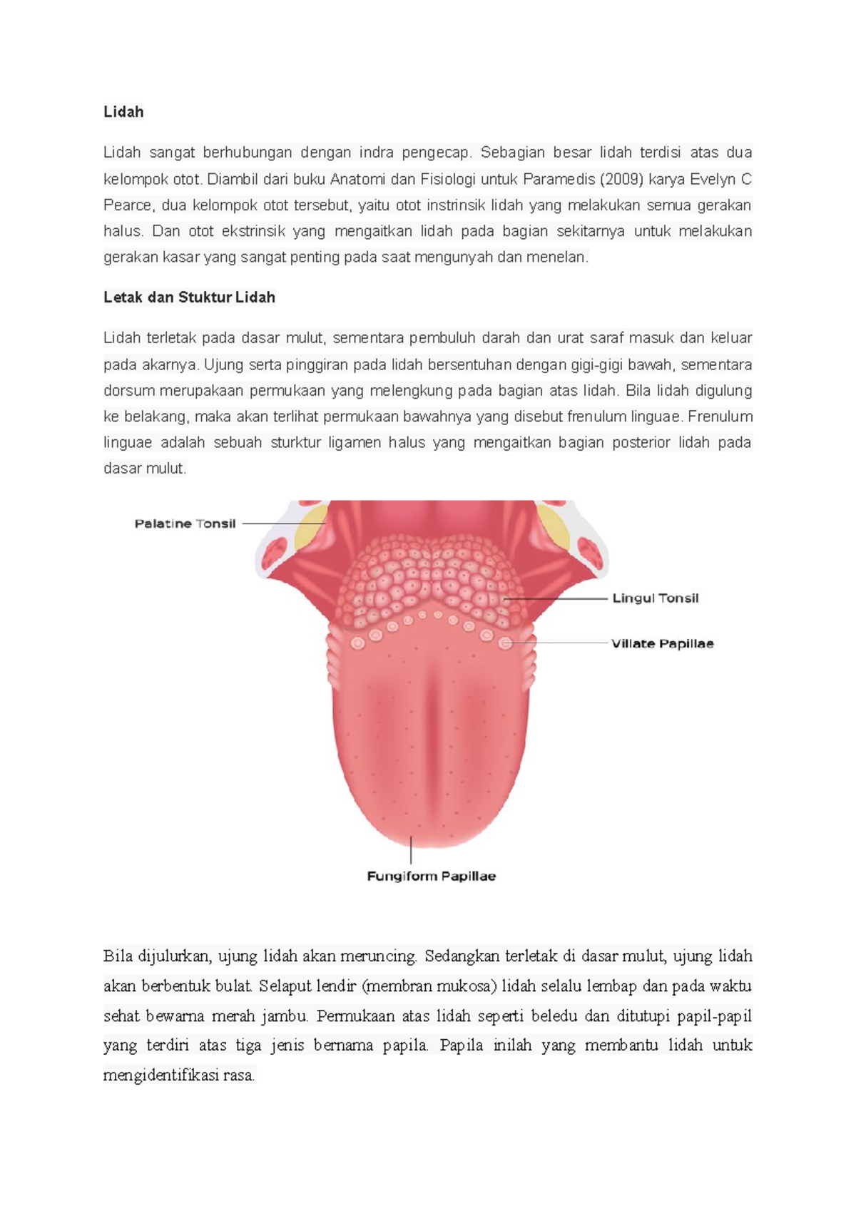 Laporan Praktikum: Anatomi dan Fisiologi Lidah serta Indra Pengecap ...