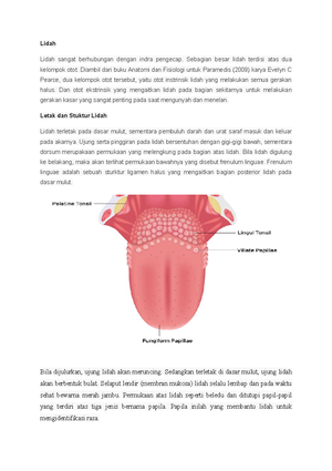 Sistem Olfaktori dan Gustatori - Indra Penciuman dan Pengecapan Indra ...