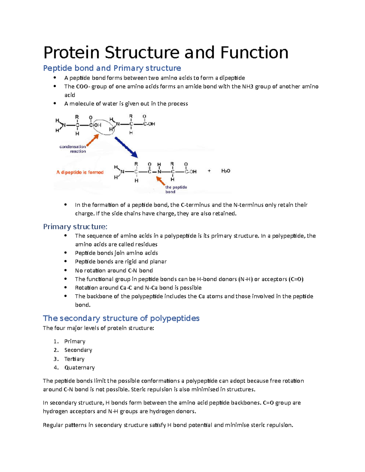 Protein Structure and Function: Lecture Notes Part B - Studocu