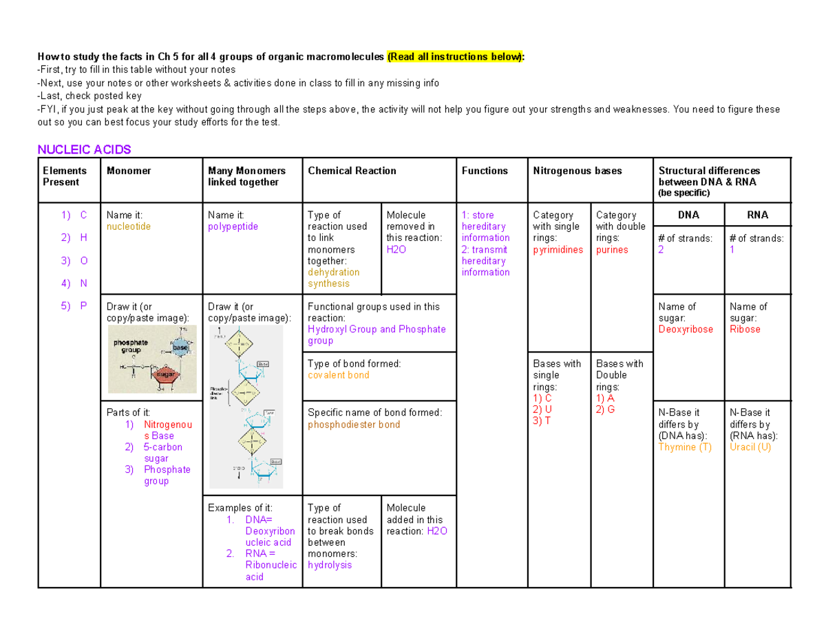 Study Guide for Ch 5: Organic Macromolecules Overview - Studocu