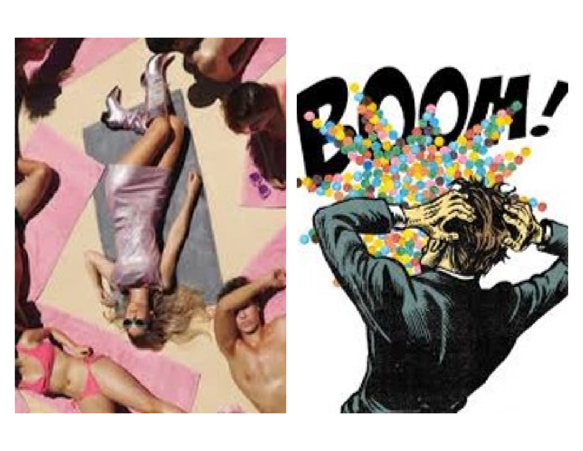 Extasis - Los animales se clasifican en terrestres (viven en tierra ...