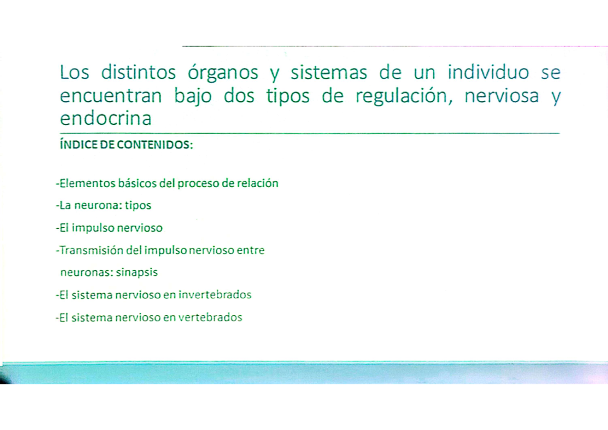 Fisiología Animal - Tema 3 - Los distintos órganos y sistemas de un ...