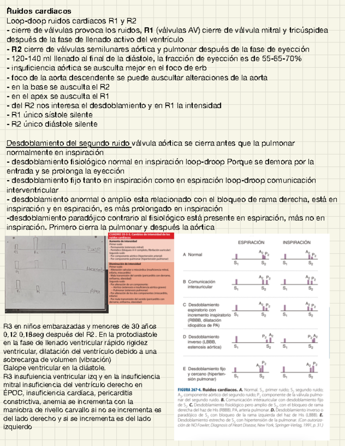 Ruidos Cardiacos: Auscultación y Diagnóstico en Cardiología - Studocu