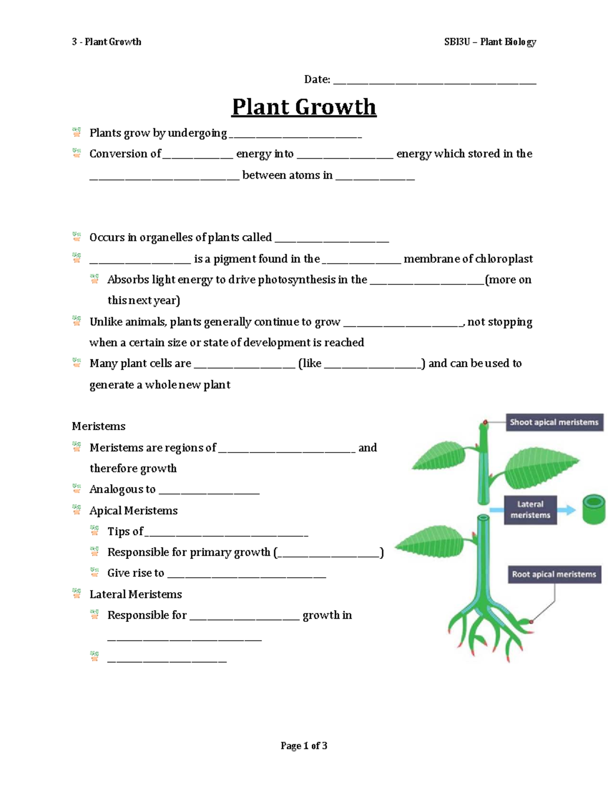 Plant Growth Overview - SBI3U Plant Biology Notes - Studocu