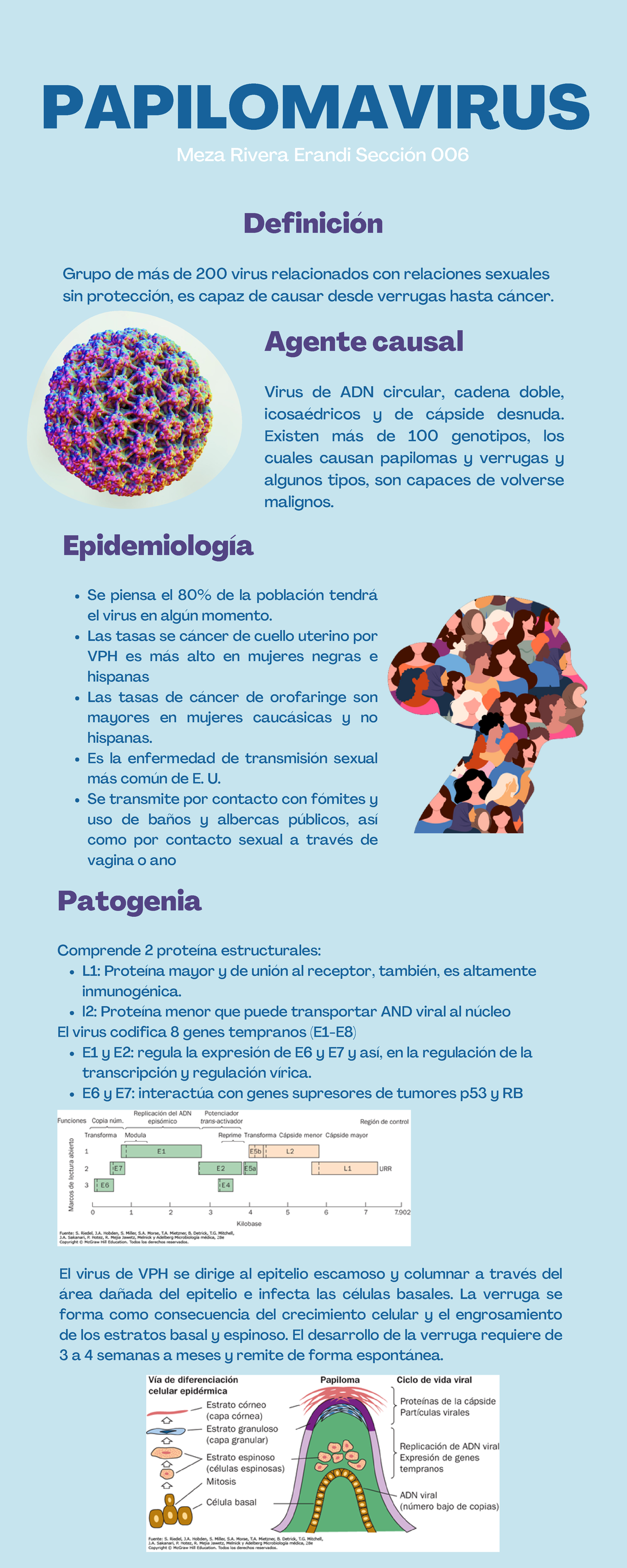 VPH - Resumen y Características del Papilomavirus en Salud Sexual - Studocu