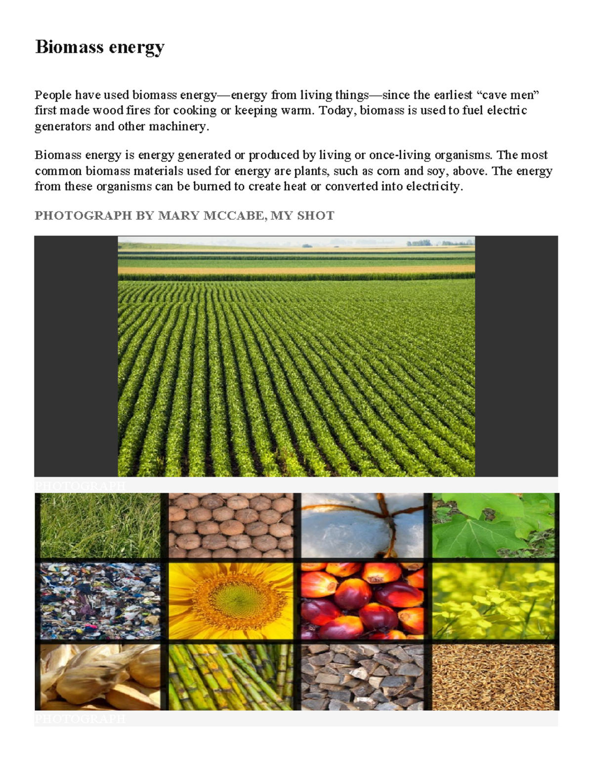 Biomass Energy Overview: Concepts and Applications - Course Code ...