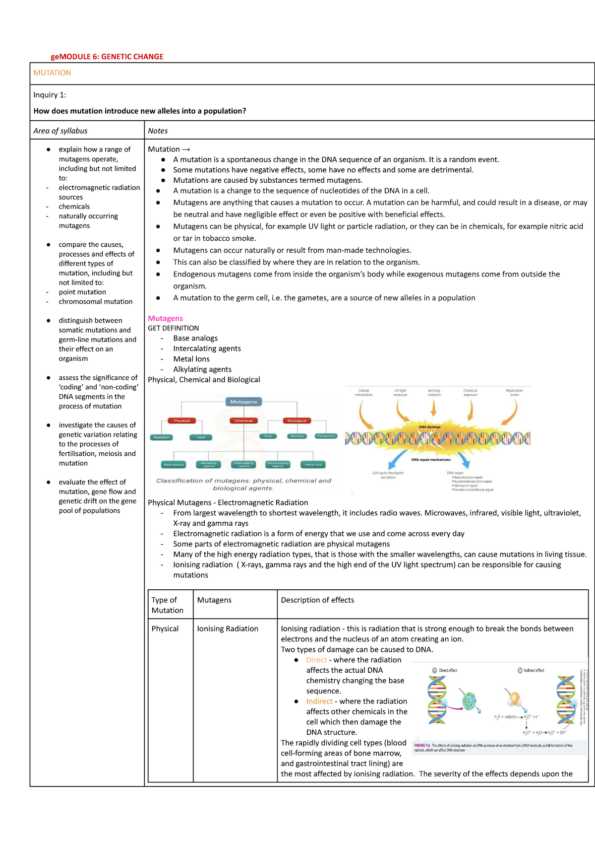 Module 6: Genetic Change & Mutation - Inquiry on Alleles and ...