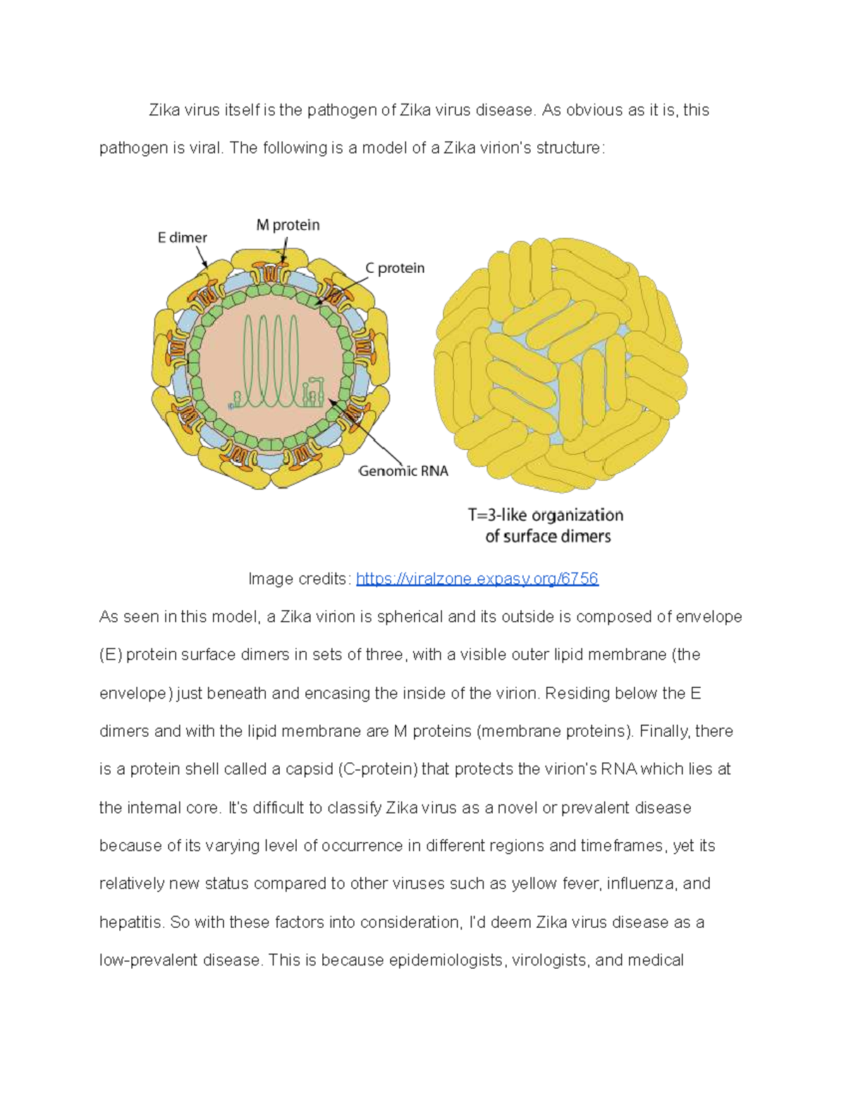 Module 2 Assignment: Understanding Zika Virus Pathogenesis and ...