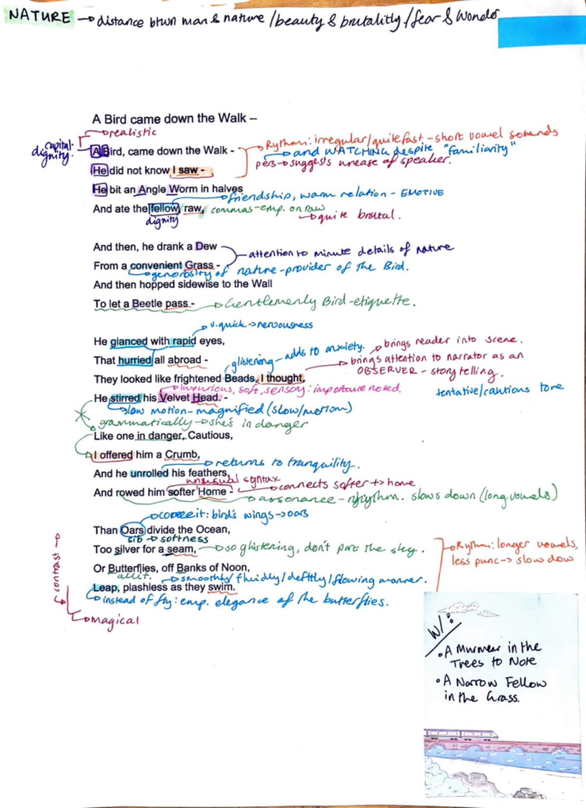 A Level - Analysis of "A Bird Came Down the Walk" - Studocu