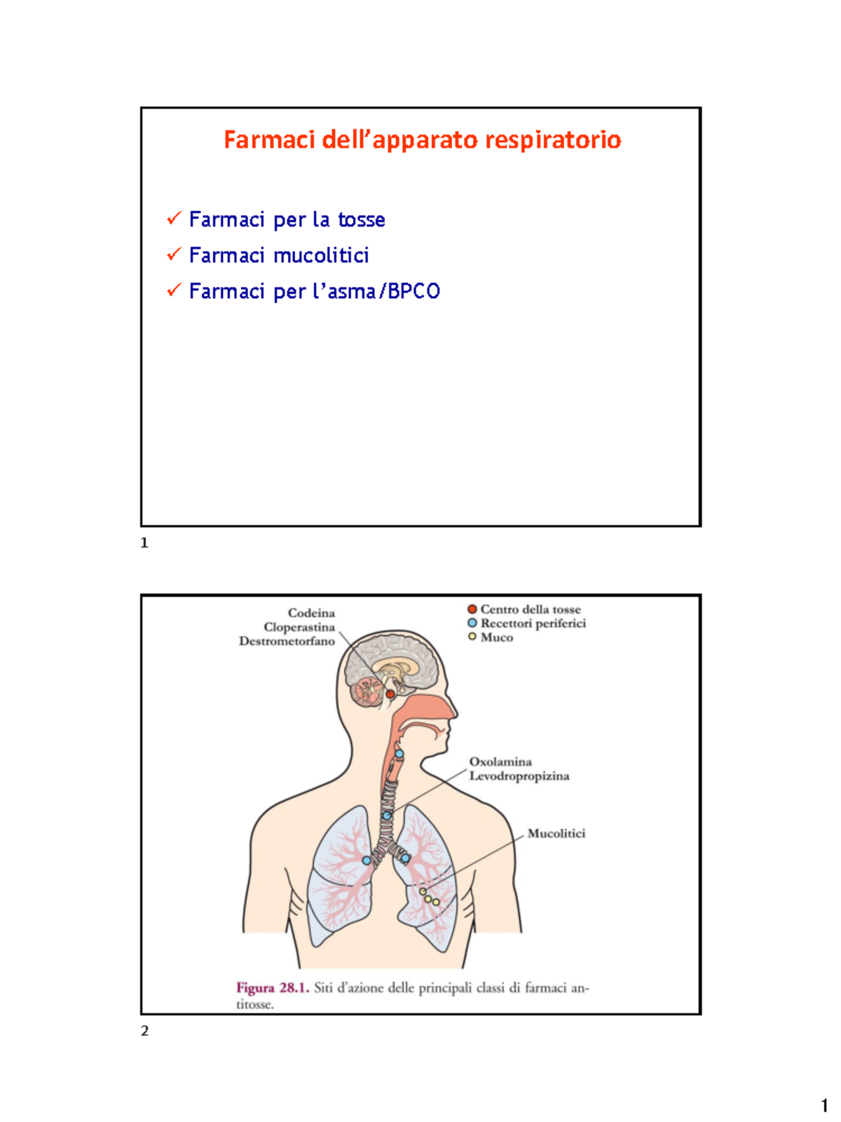 Farmaci Respiratori: Schema per Asma e BPCO - Studocu