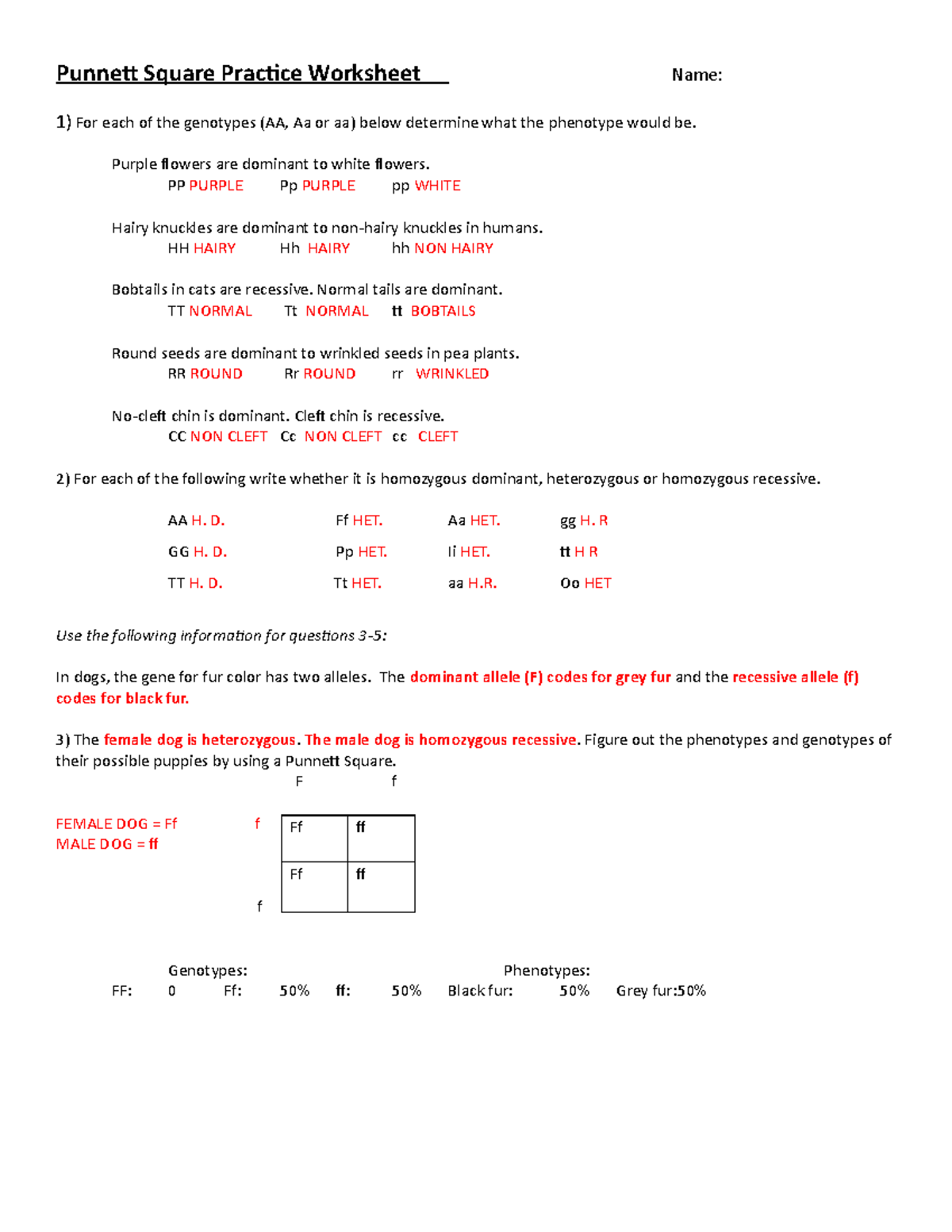 Punnett-Square-Practice-Worksheet Name-KEY-171e0l0 2 - Punnett Square ...