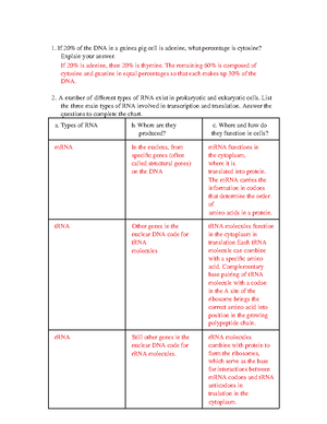 ATI System Disorder Template on Gastroenteritis - ACTIVE LEARNING TEMPLATES THERAPEUTIC ...