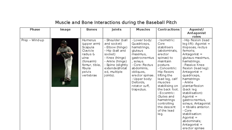 Muscle and Bone Interactions in Baseball Pitch Phase - Modelled Copy ...