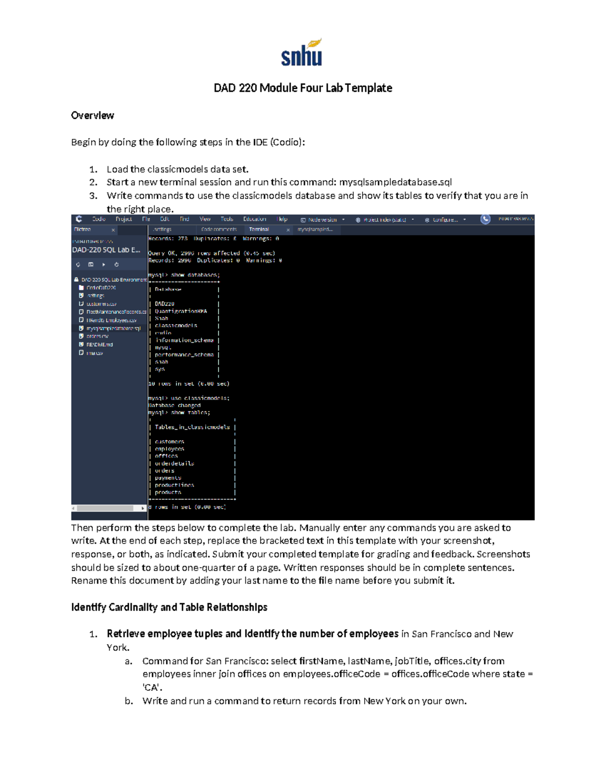 DAD 220 Module 4 lab - DAD 220 Module Four Lab Template Overview Begin ...