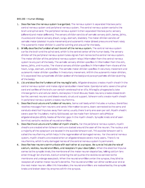 Cell City Analogy Key - Cell City Analogy - KEY Original File: Cell ...