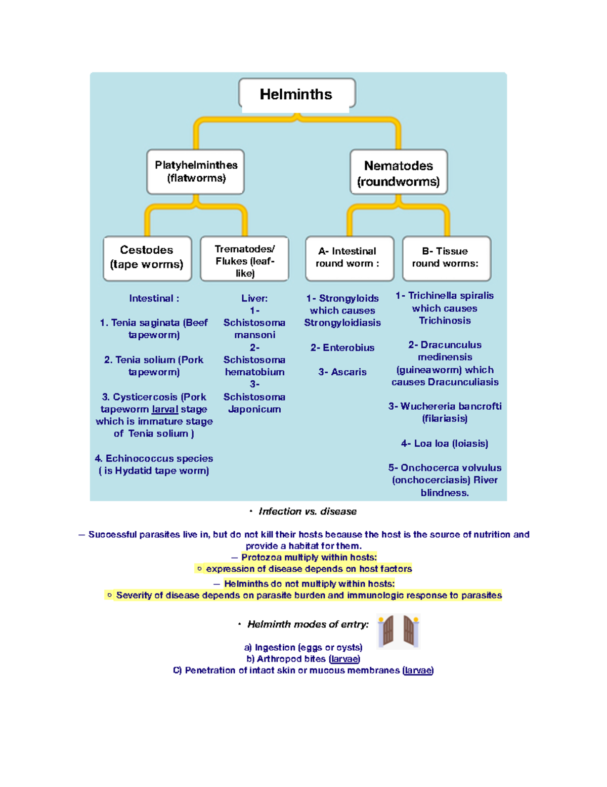 Helminths - Helminths Helminth modes of entry: a) Ingestion (eggs or ...
