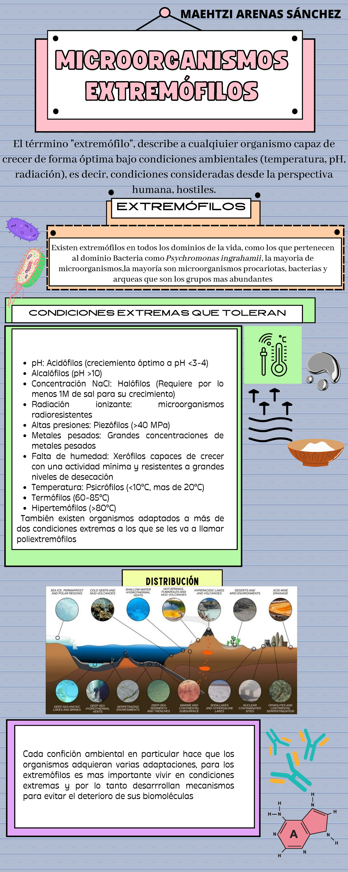 Diagrama De Extremofilos Heat And Sulphur Extremophiles, Illustration