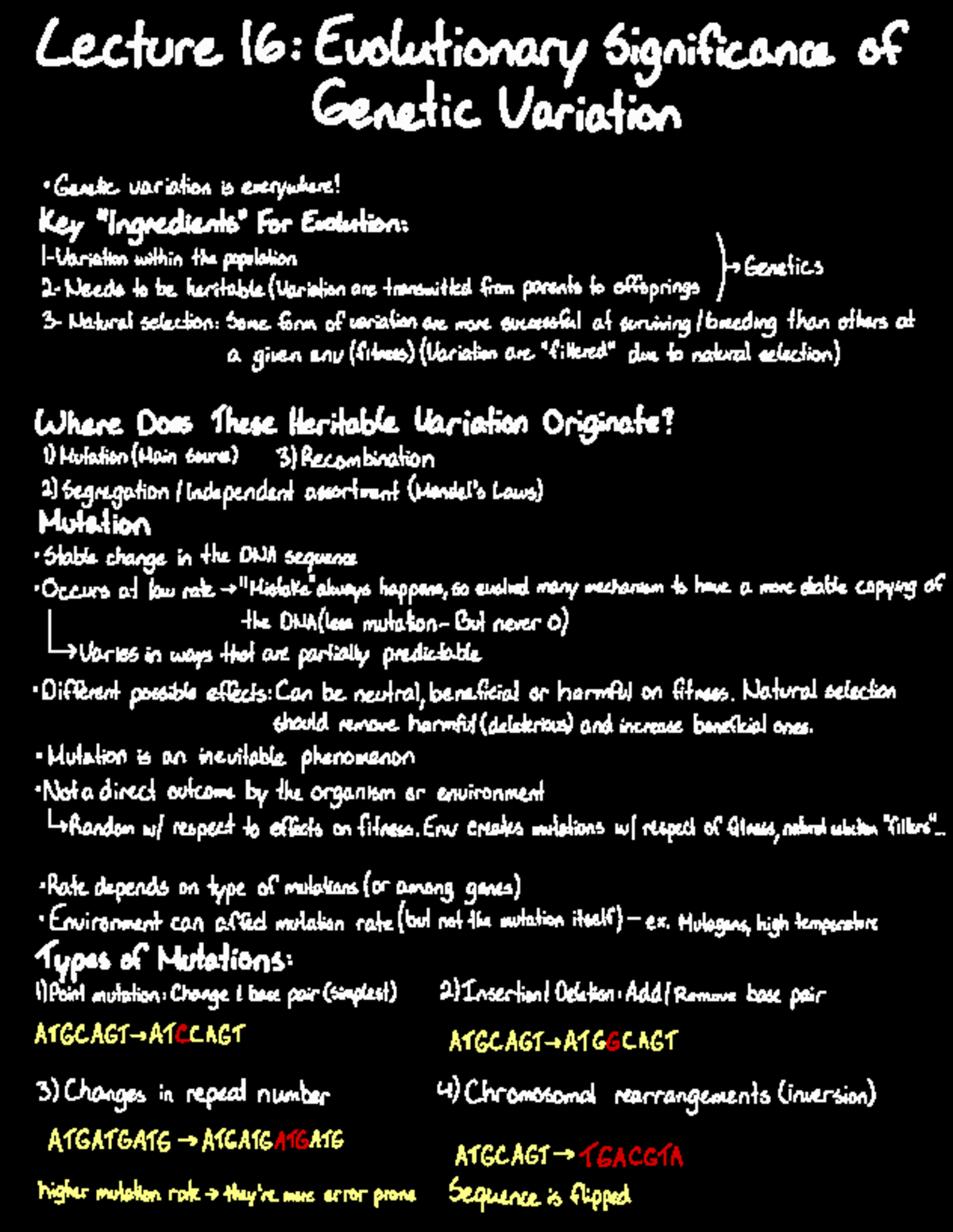 Lecture 16: Evolutionary Importance of Genetic Variation - Studocu