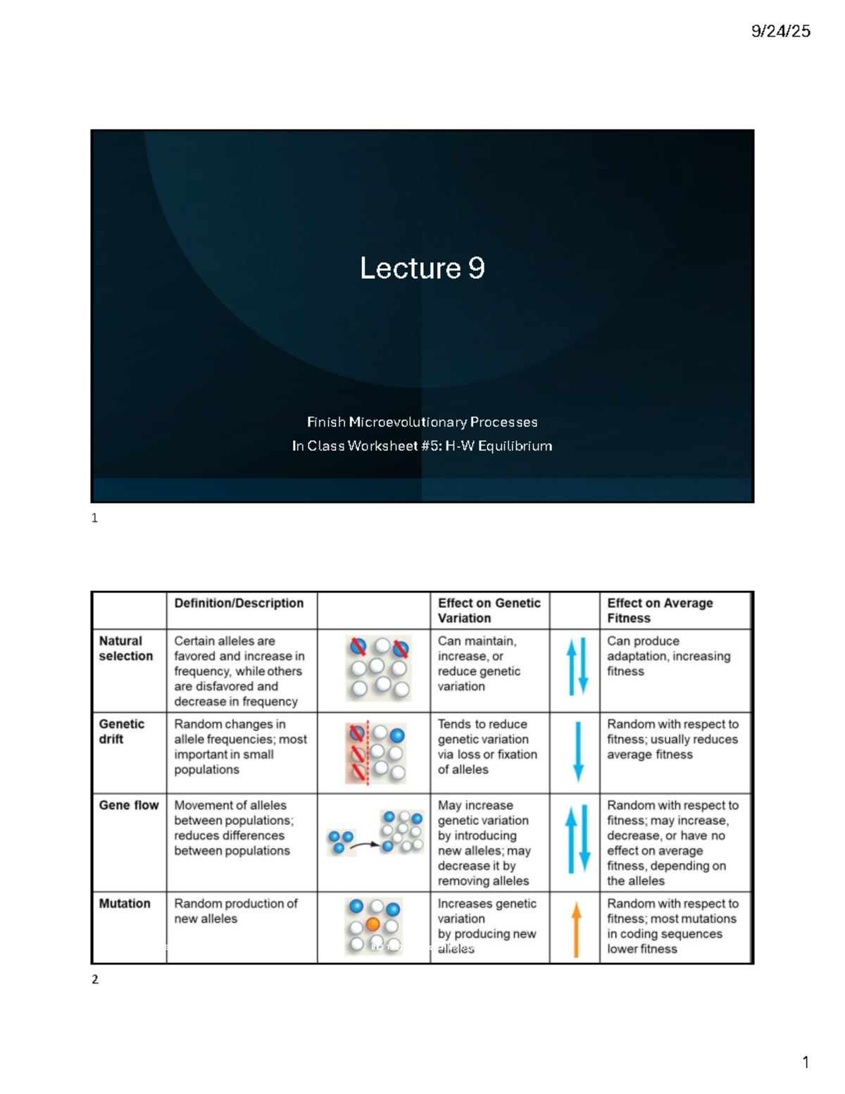 BIO 1331: Microevolutionary Processes & Genetic Drift Lecture Notes ...