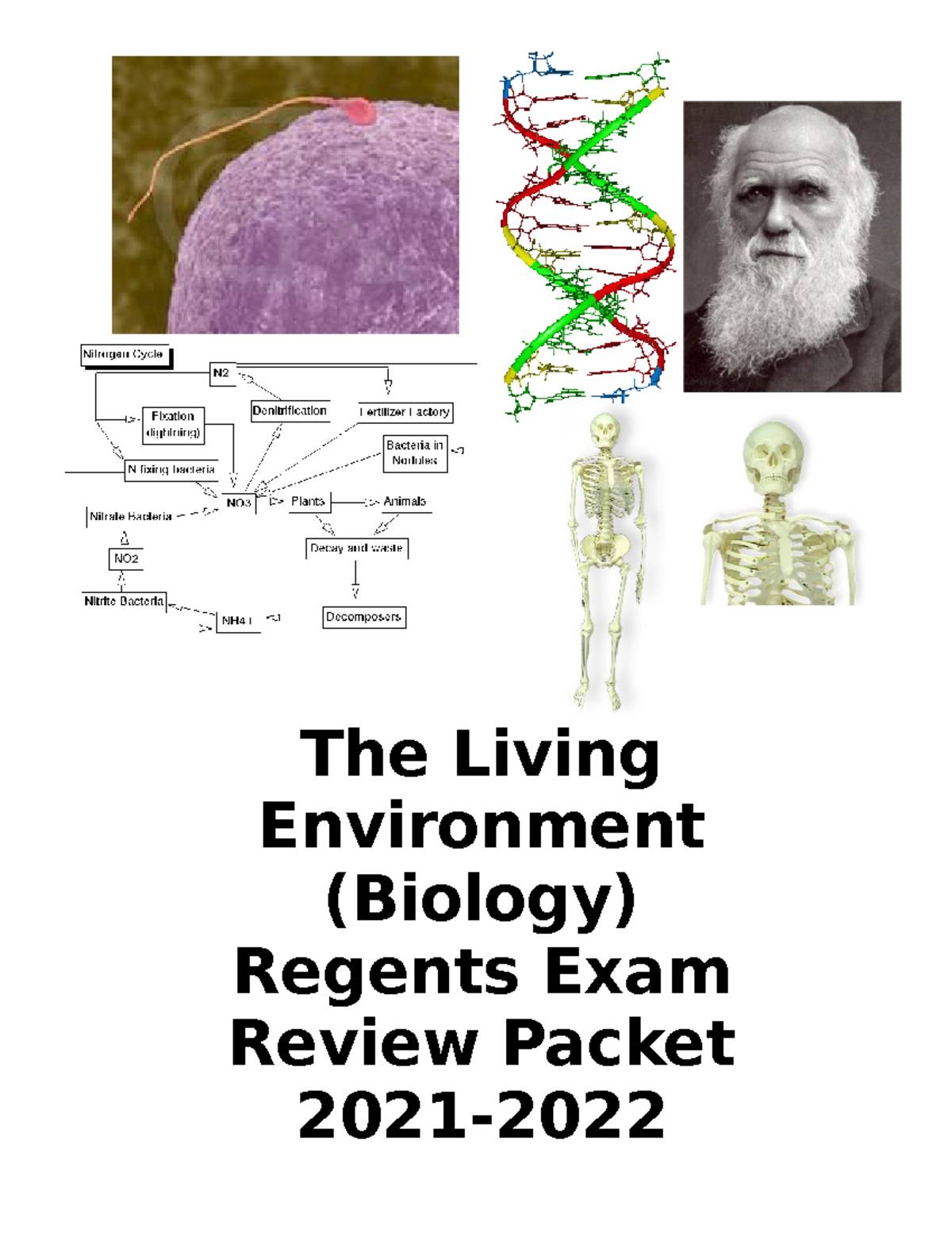 Regents review packet 2021-2022 - The Living Environment (Biology ...