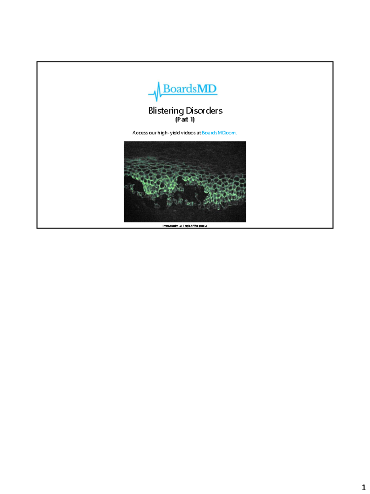 Blistering Disorders 1 - Access our high-yield videos at BoardsMD ...