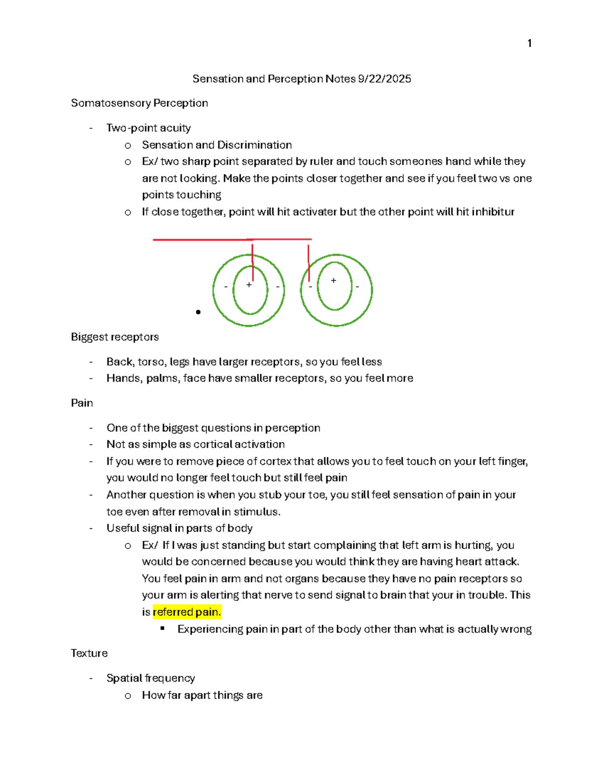 Sensation and Perception Lecture Notes - PSY 101 (3B) - Studocu