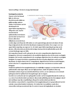 anatomie van het thorax holte en buikholte - OPDRACHTEN BBB THORAX 1 ...