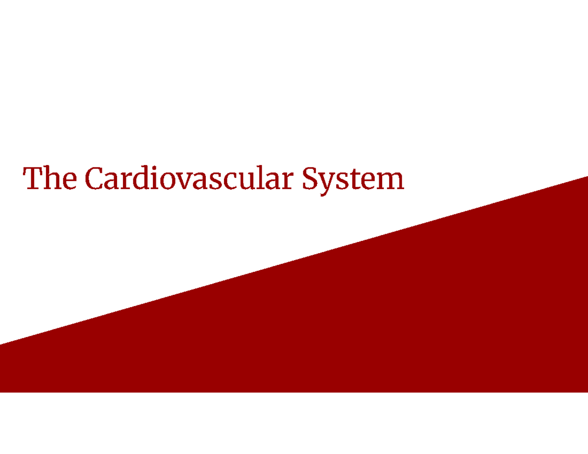Cardiovascular System Overview and Heart Anatomy - Studocu