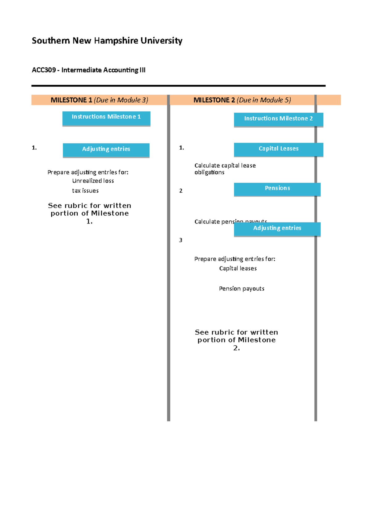 ACC 309 Final Project: Adjusting Entries and Financial Statements Guide ...